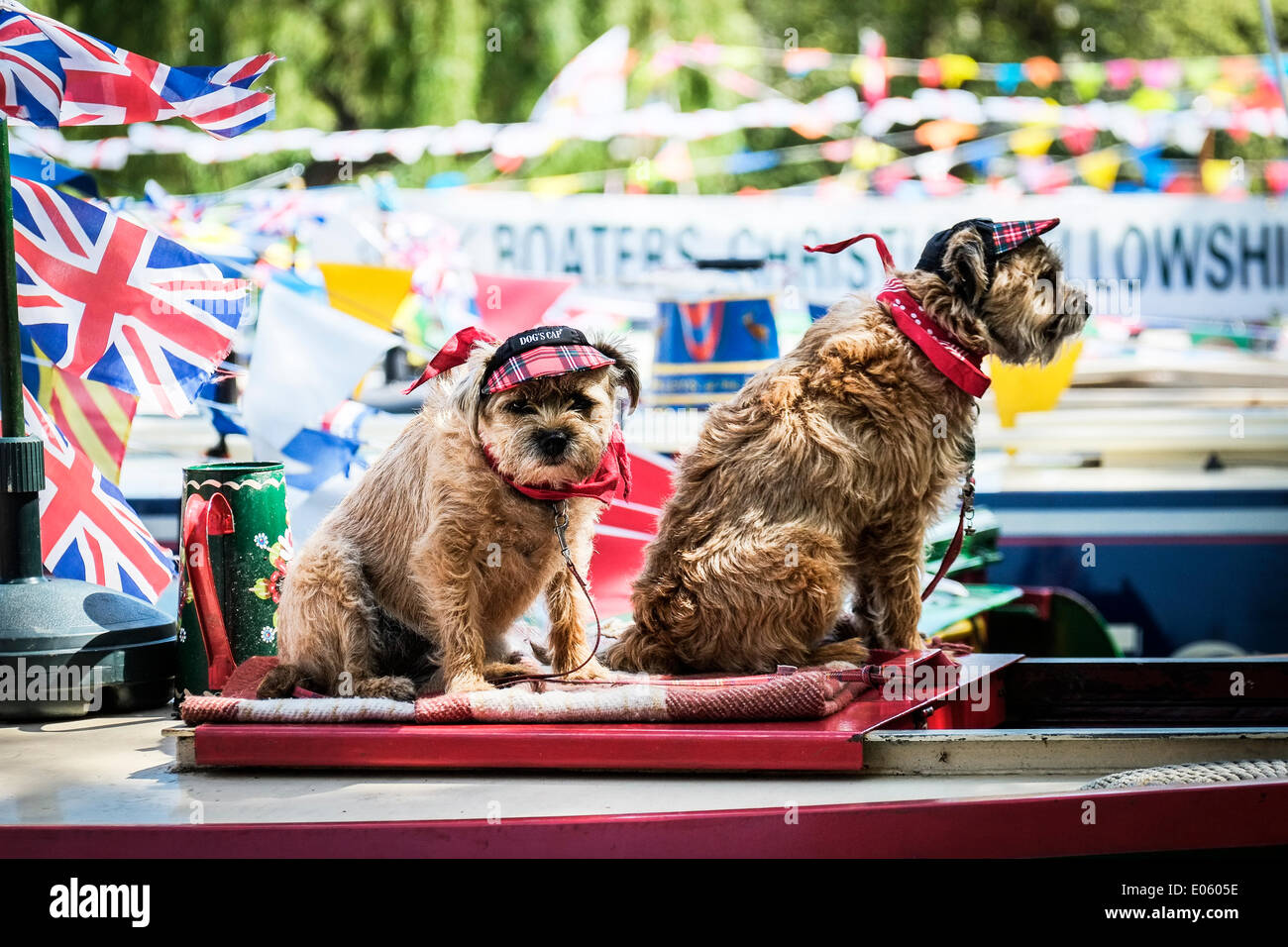Little Venice, London, UK. 3rd May 2014. Pixie and Gyp dressed as ...
