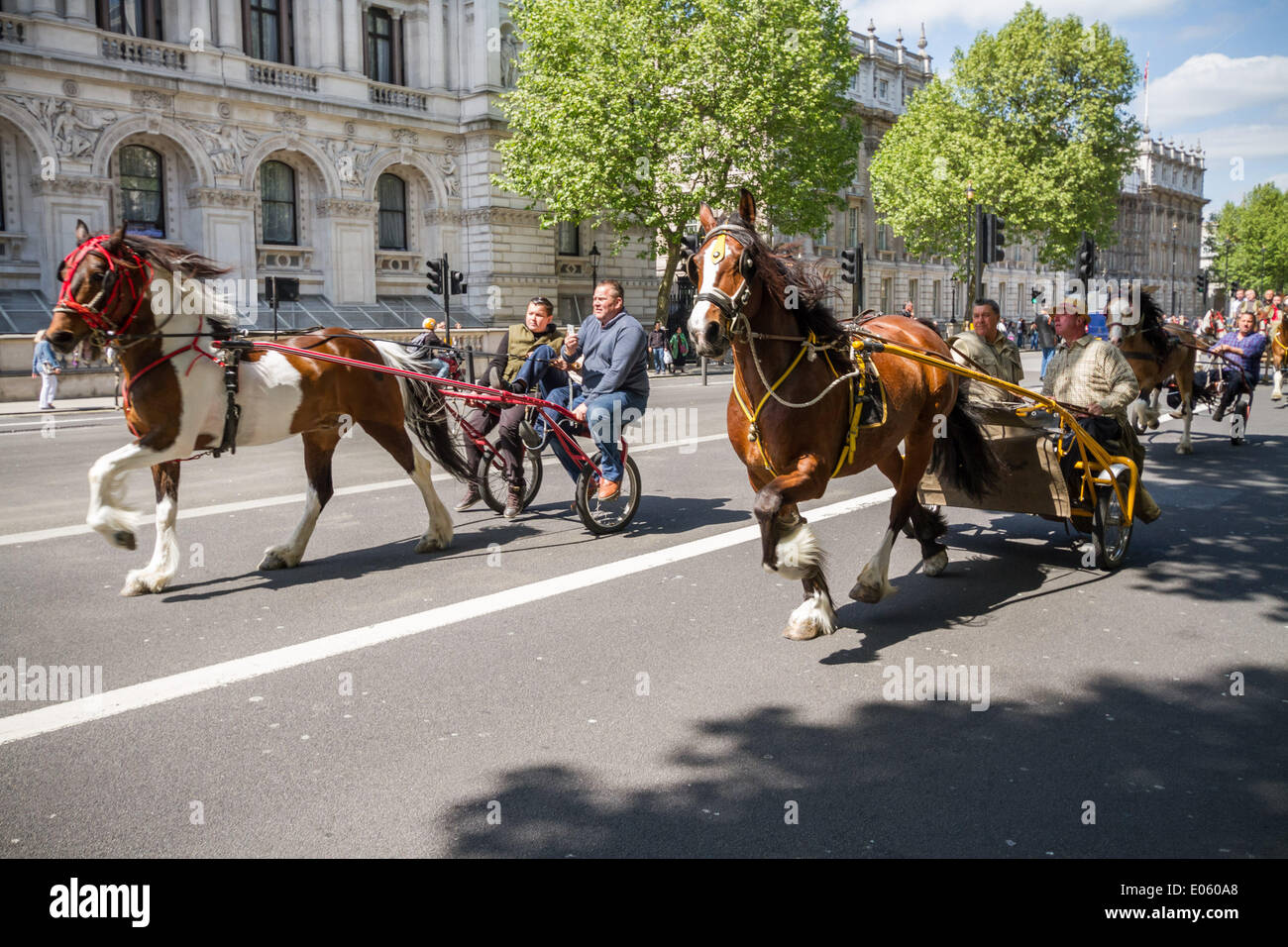 Sulky racing hi-res stock photography and images - Alamy