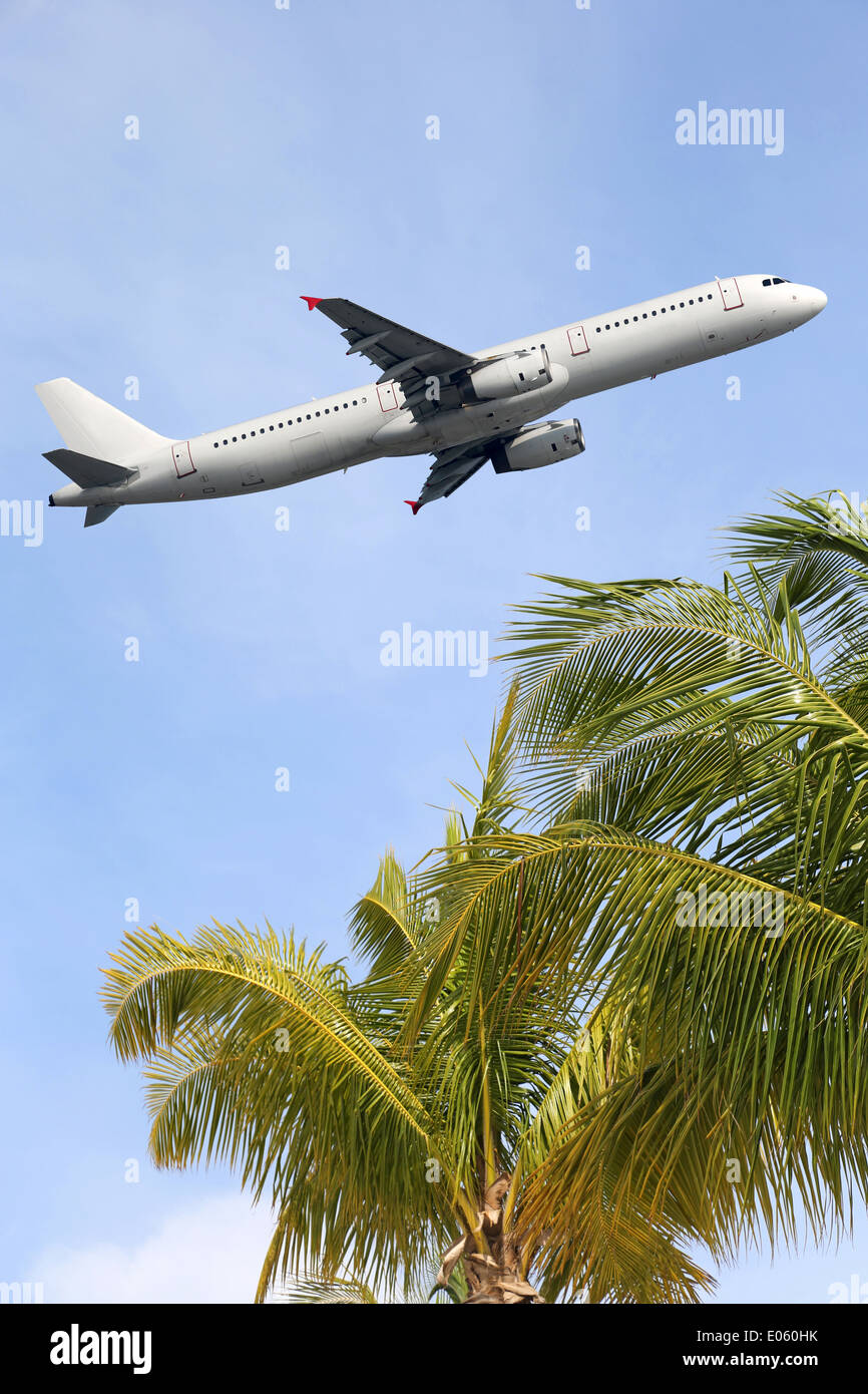 An airplane traveling between palm trees into vacation during a holiday ...