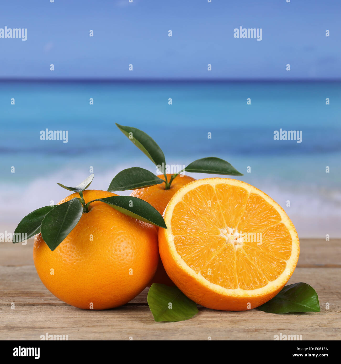 Fruits of the sea hi-res stock photography and images - Alamy