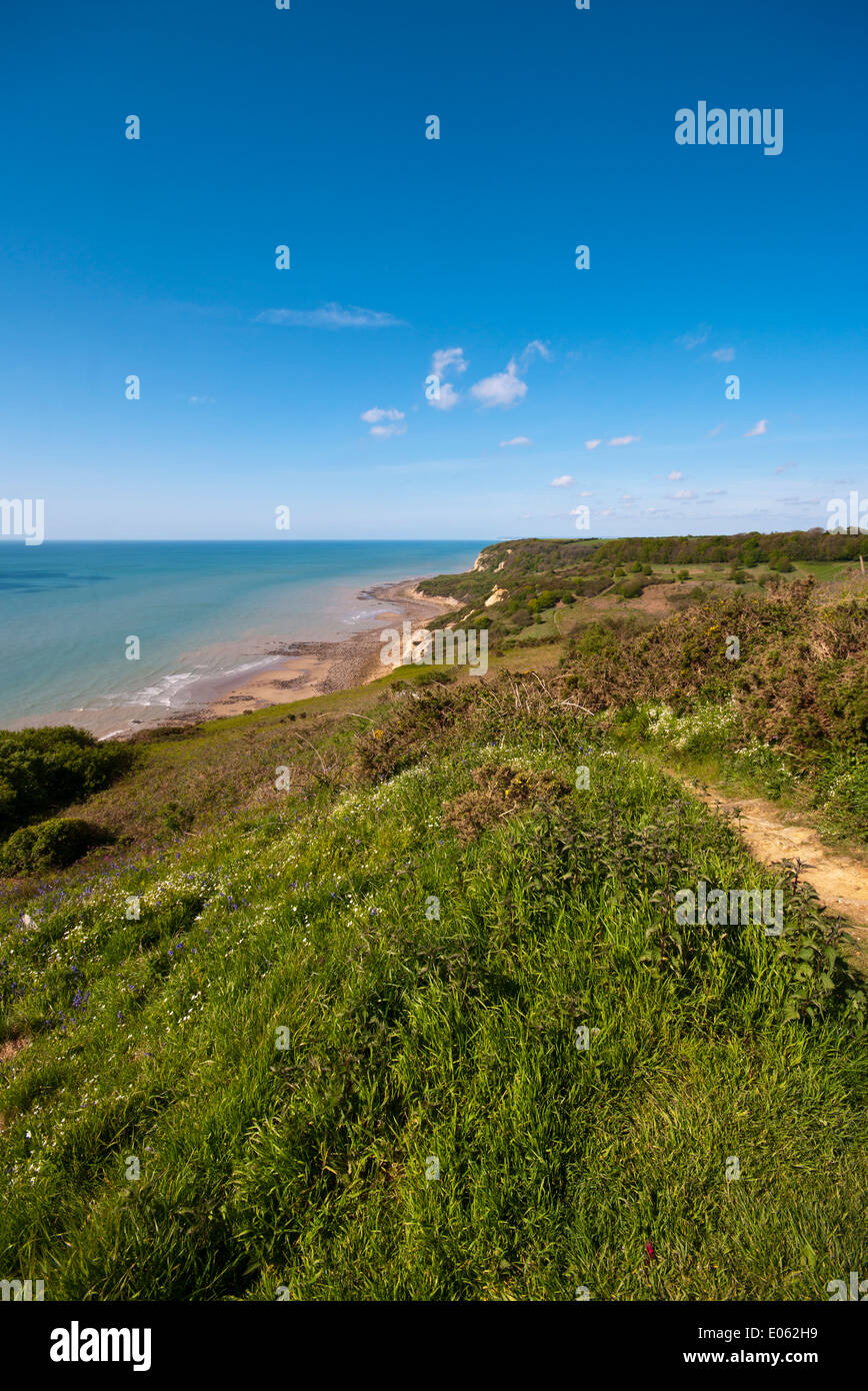 The East Sussex Coastline At Fairlight Cliffs Looking From Hastings ...