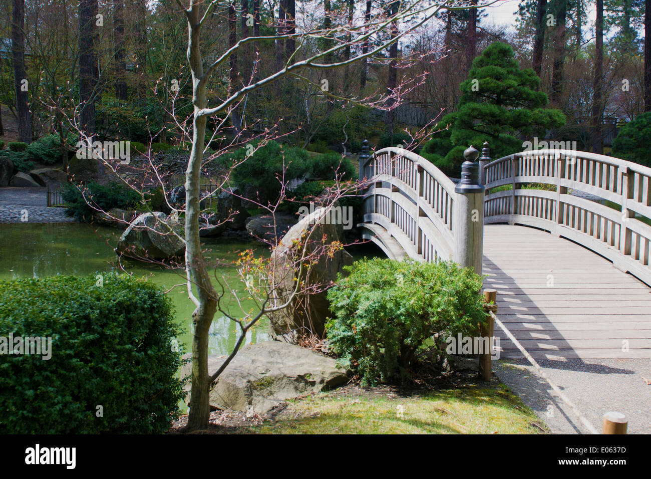 Zen bridge over asian garden pond Stock Photo - Alamy