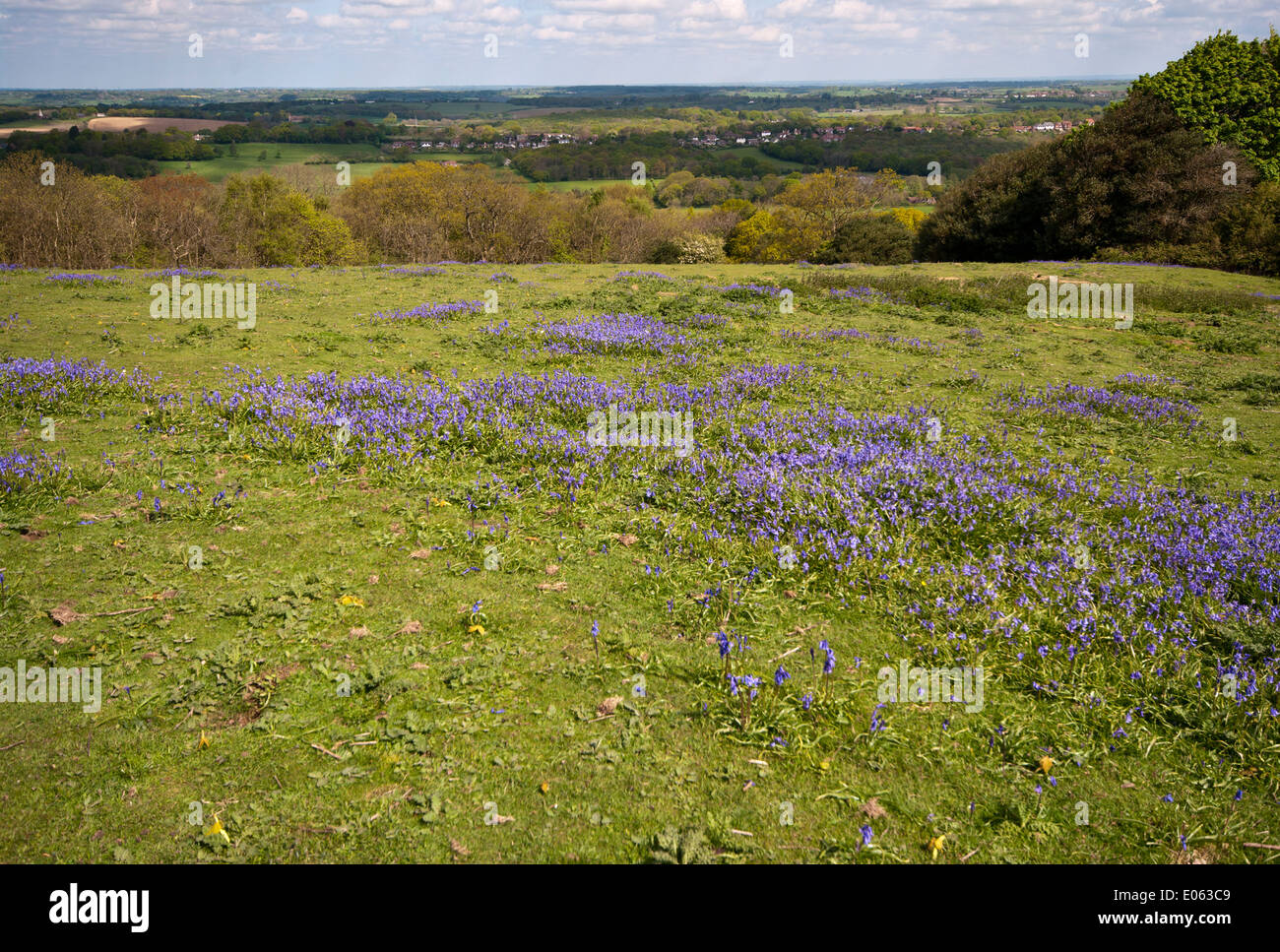 View Over The Kent and Sussex Countryside From Fairlight In east Sussex ...