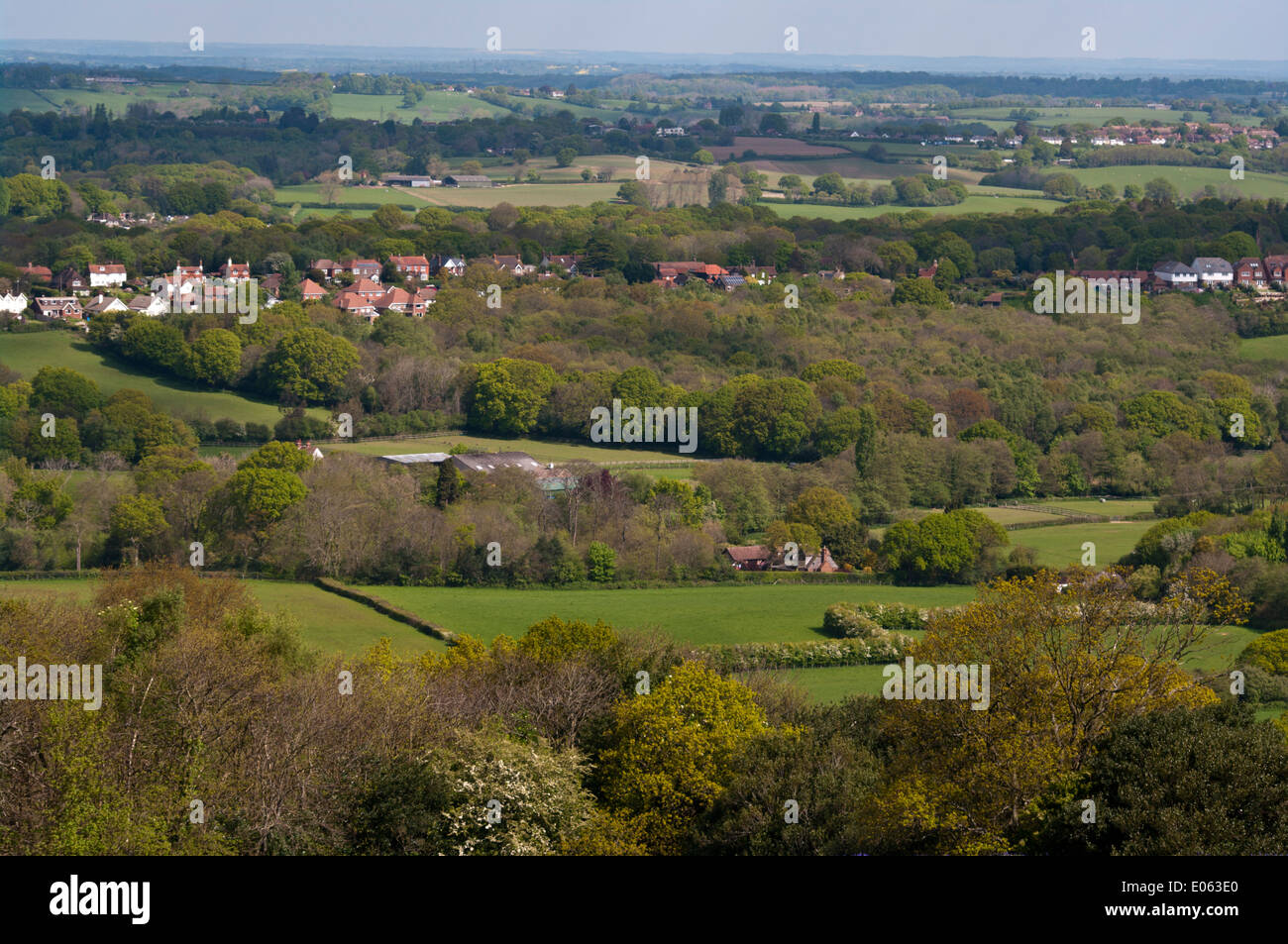 Pett hi-res stock photography and images - Alamy