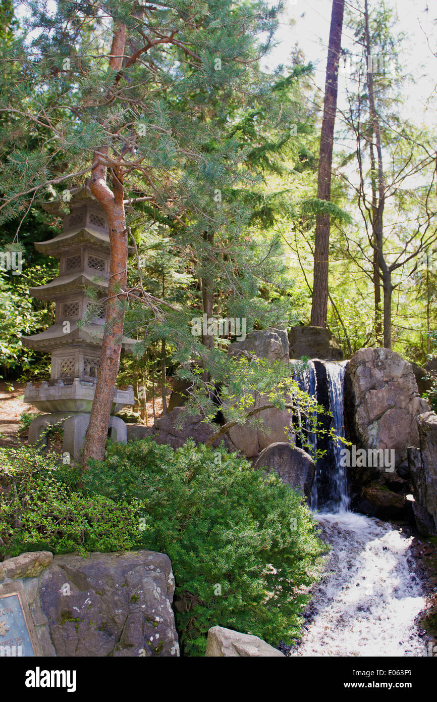 waterfall flows among bonzai and pine trees with pagoda Stock Photo - Alamy