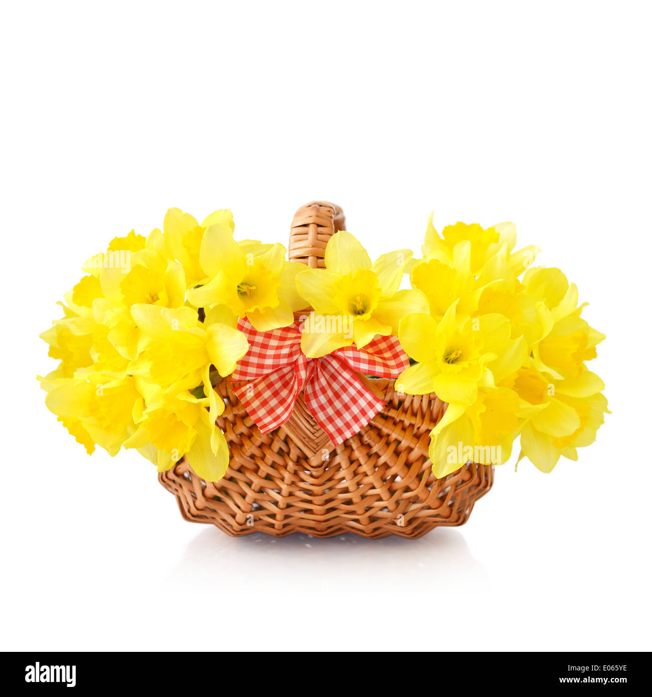 Daffodil in bud Cut Out Stock Images & Pictures - Alamy