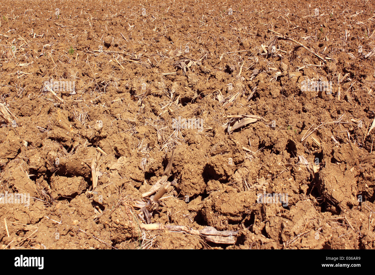 ground plowed for the sowing of spring for an organic farming Stock ...