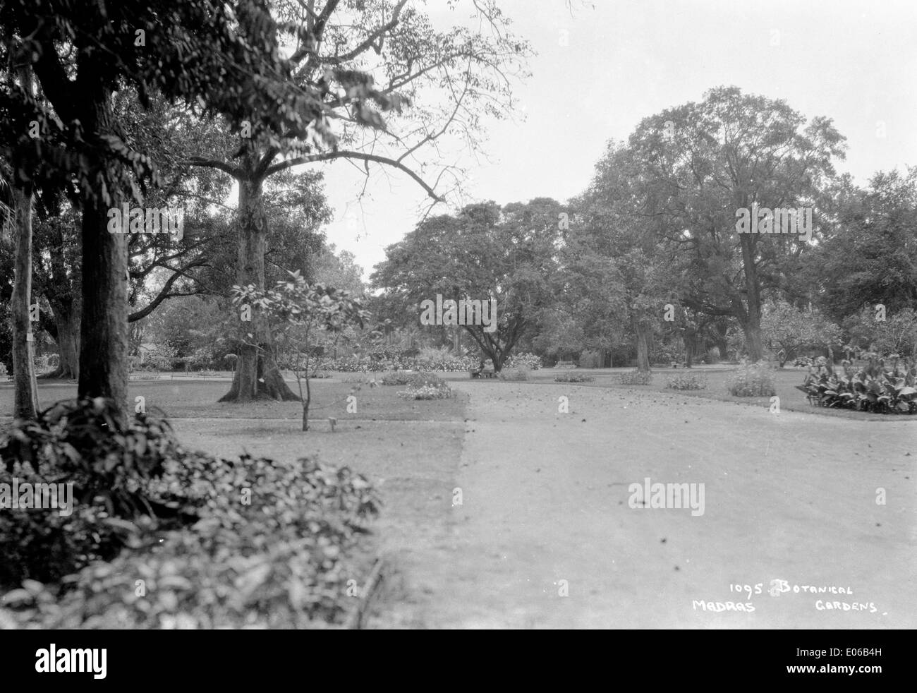 Street scene india 1930s hi-res stock photography and images - Alamy