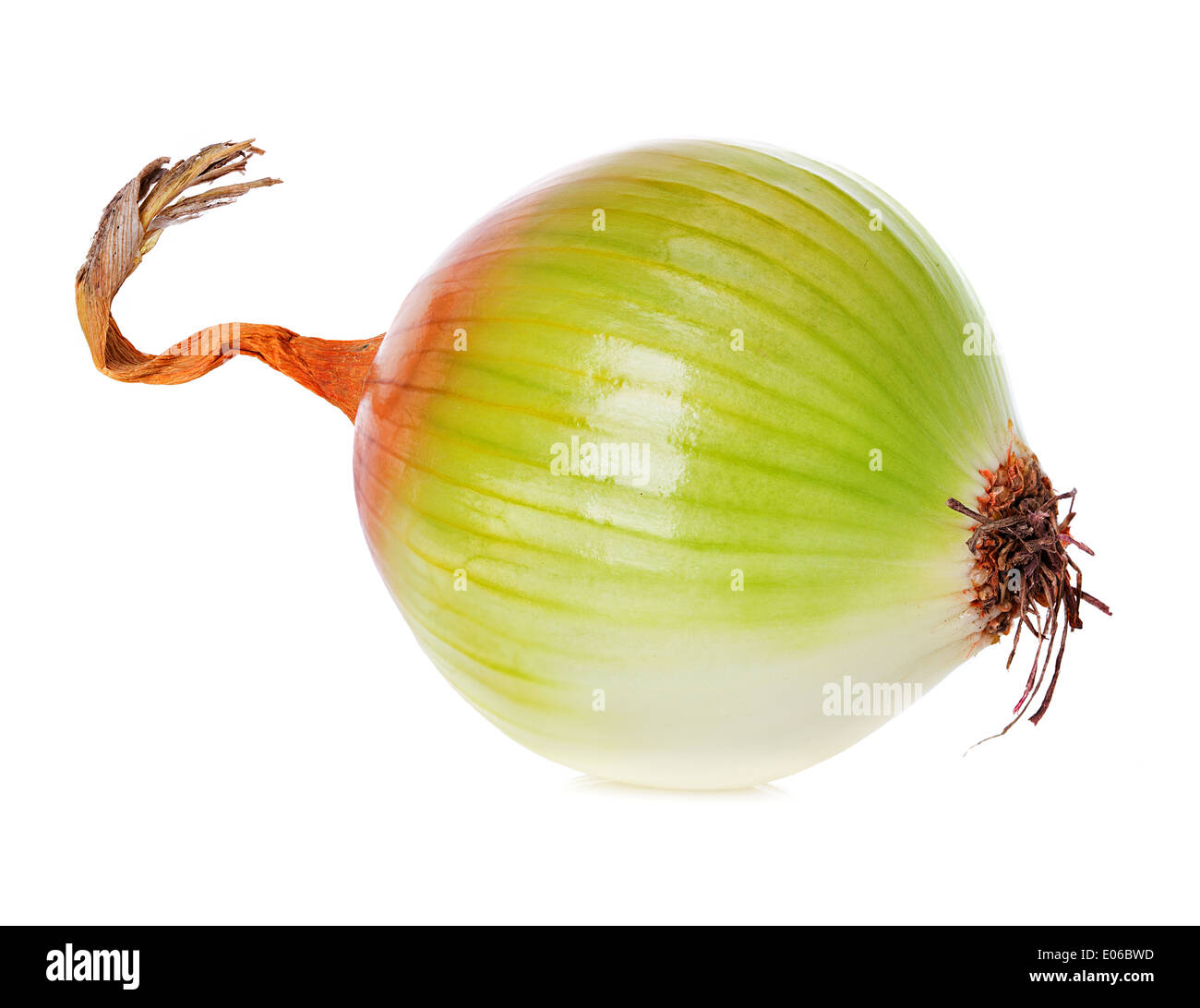 Onion new hi-res stock photography and images - Alamy