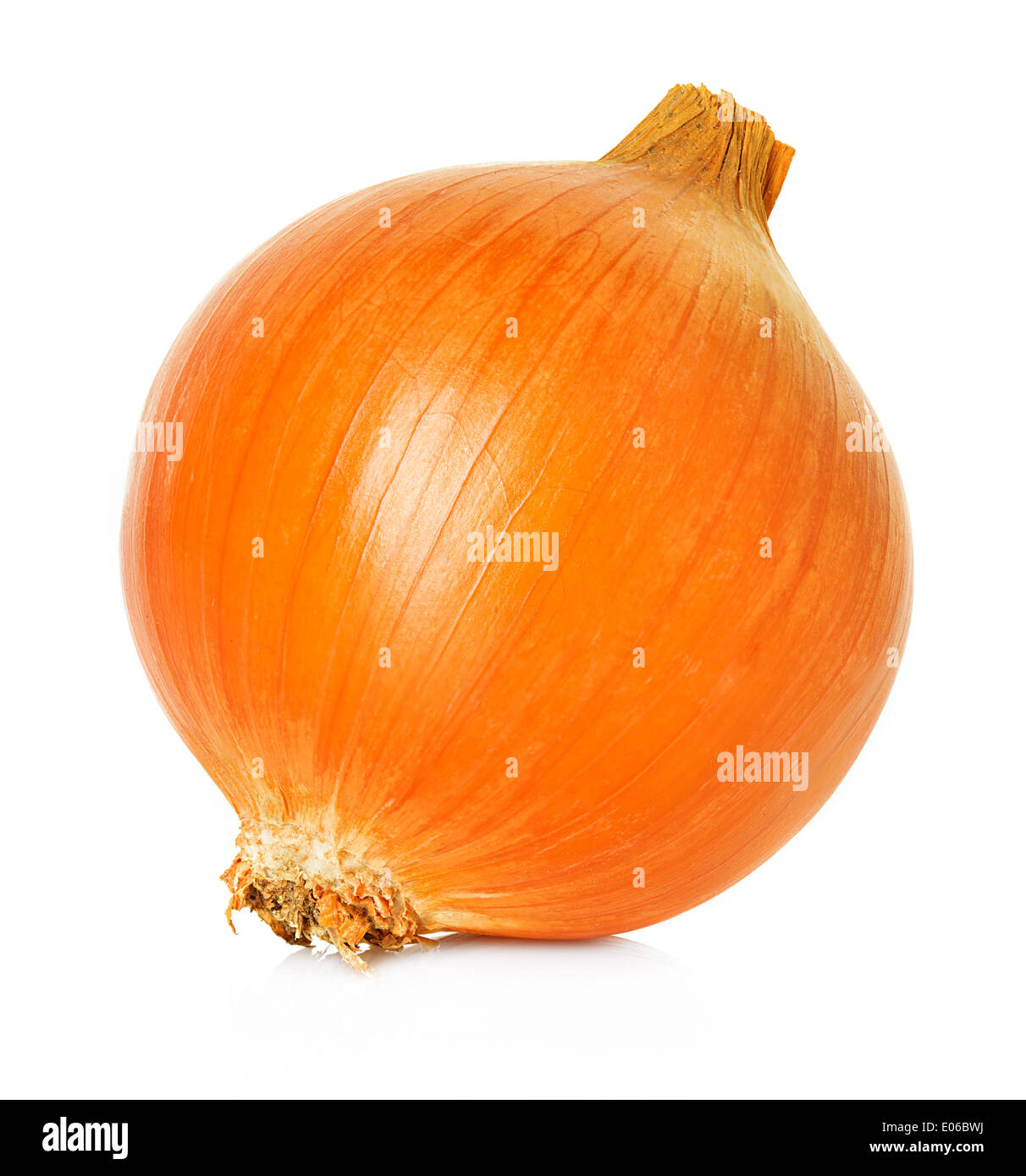 Group fresh bulbs onion Cut Out Stock Images & Pictures - Alamy