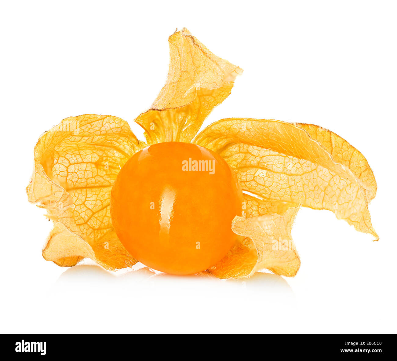 Physalis fruit isolated Stock Photo - Alamy