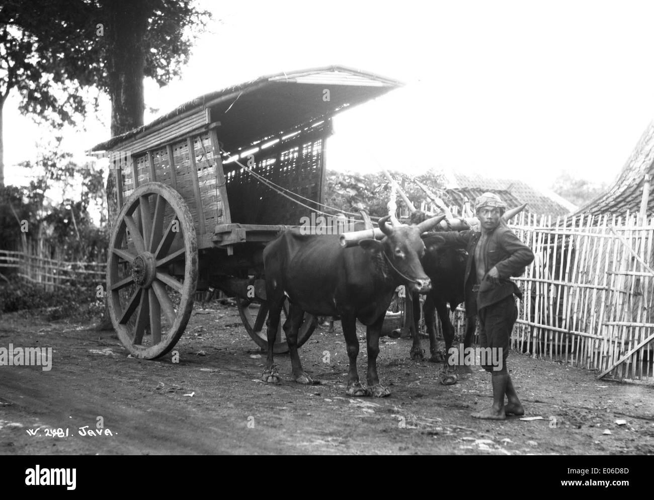 Java and Batavia Stock Photo - Alamy