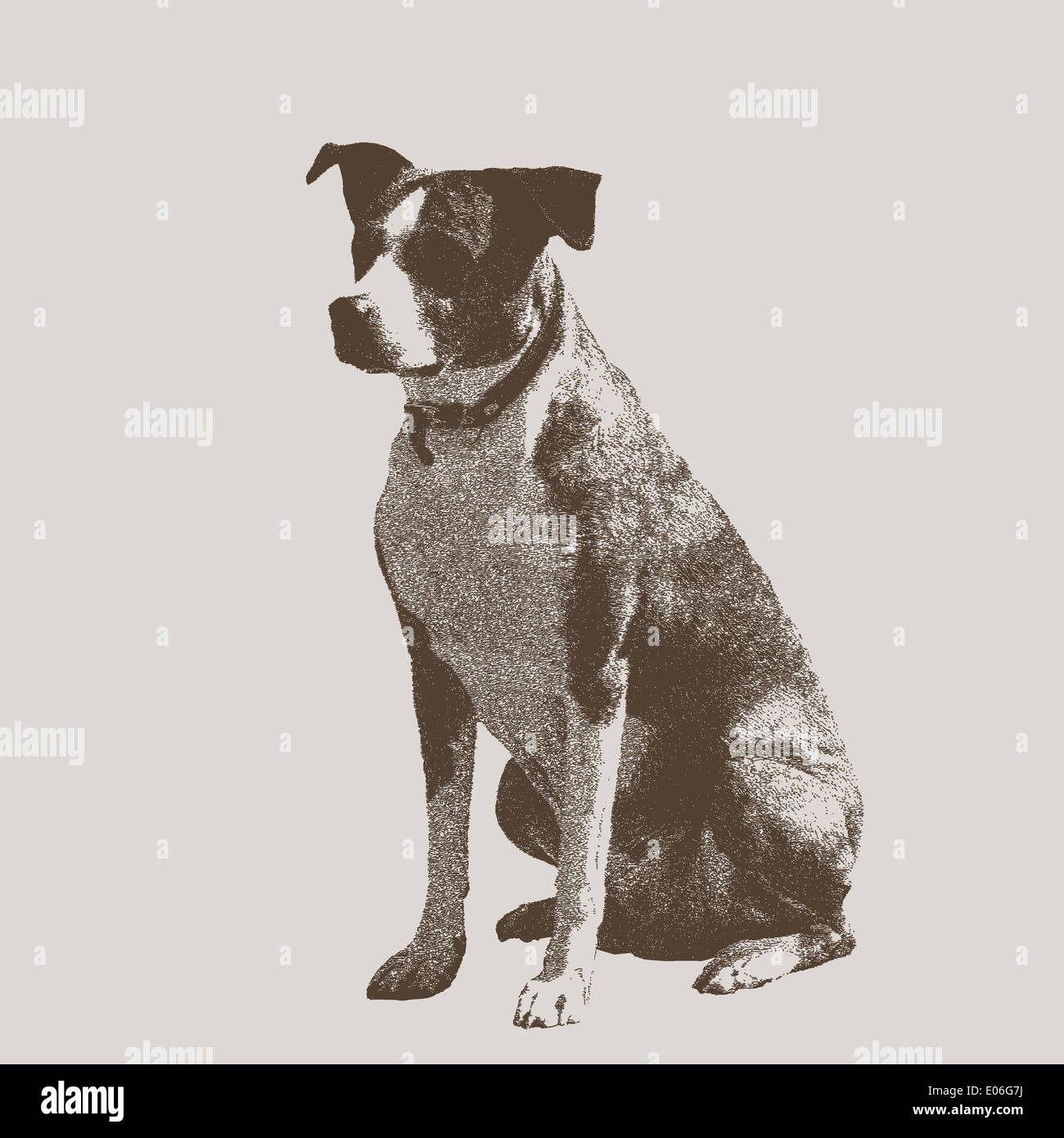 Seated dog hi-res stock photography and images - Alamy