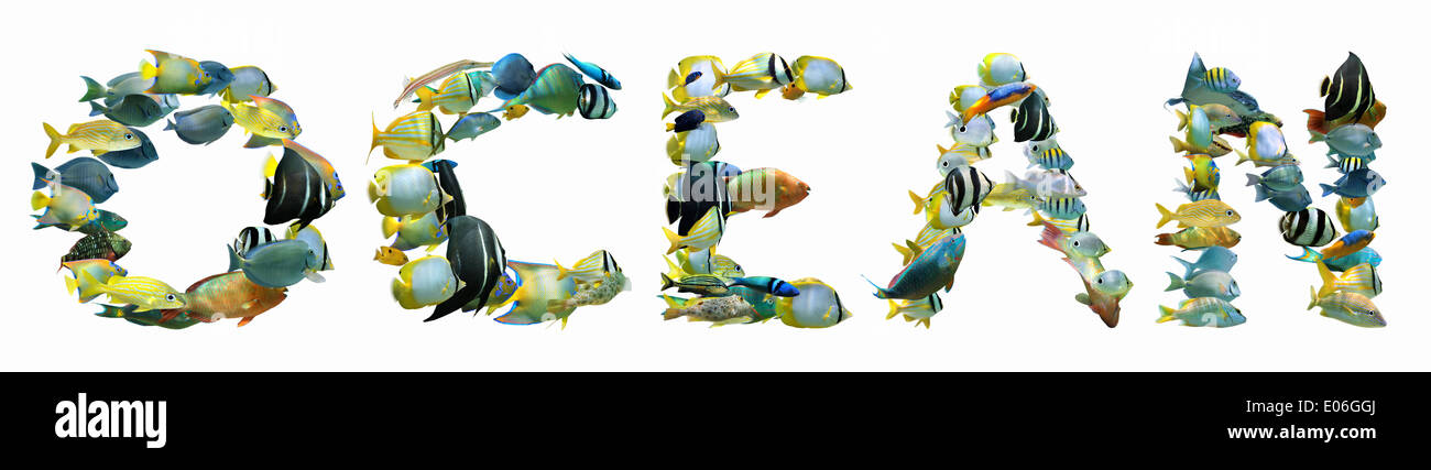 The word OCEAN composed from colorful tropical fish isolated on white ...