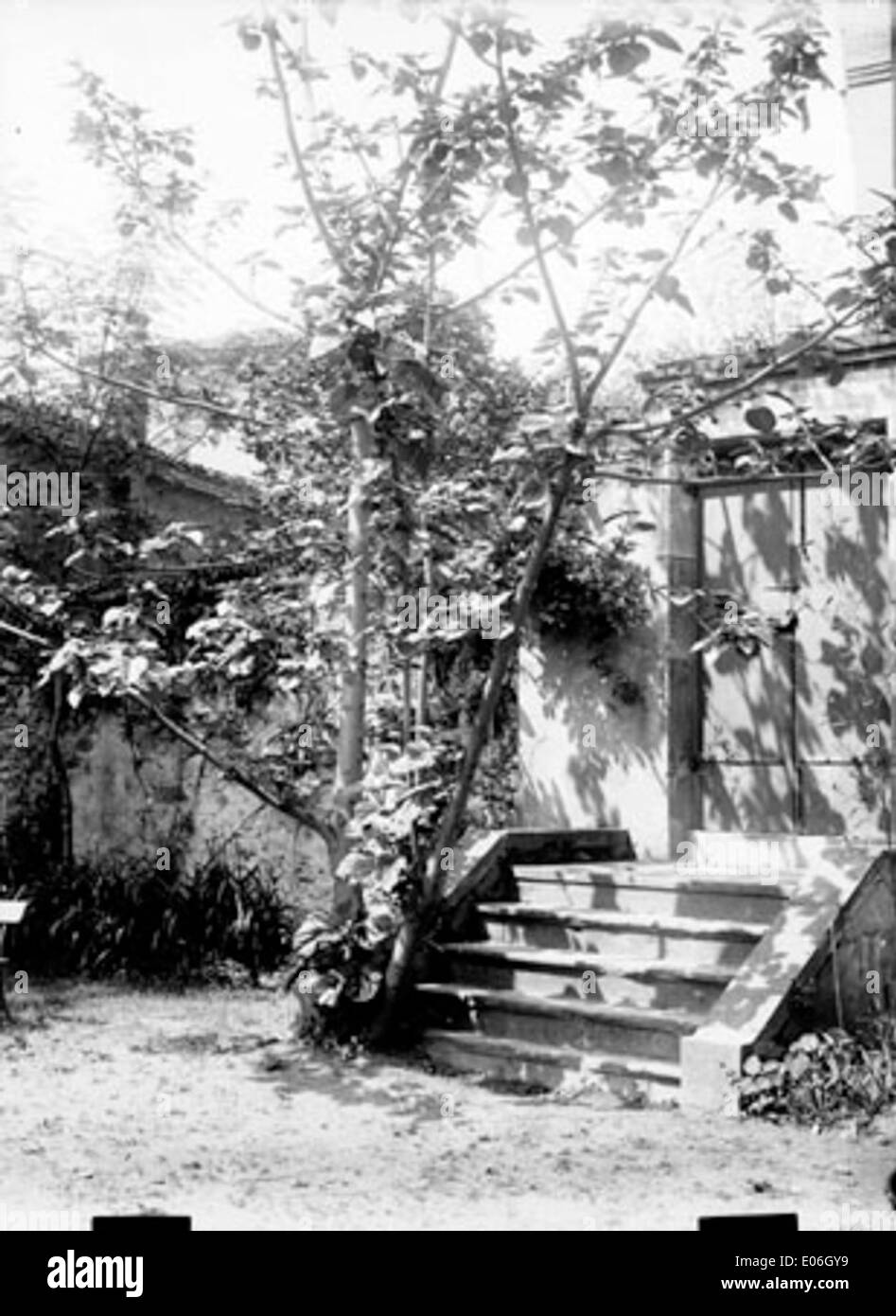 A photograph from May 1905 showing the garden gate and the ...