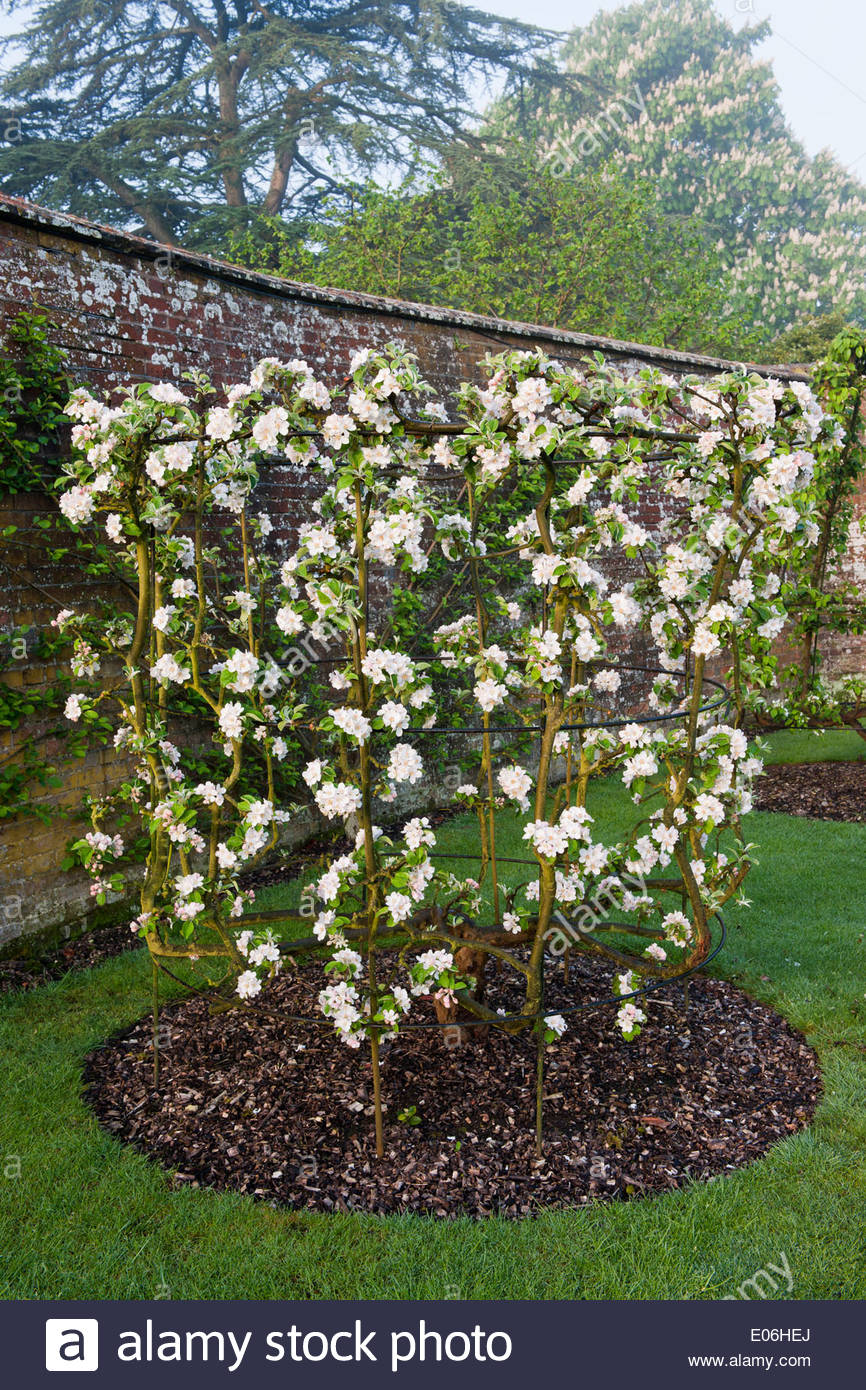 Pomona Stock Photos & Pomona Stock Images - Alamy