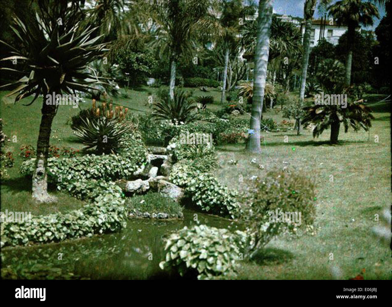 A photo showing a stream in the gardens of Monte-Carlo, with lush ...