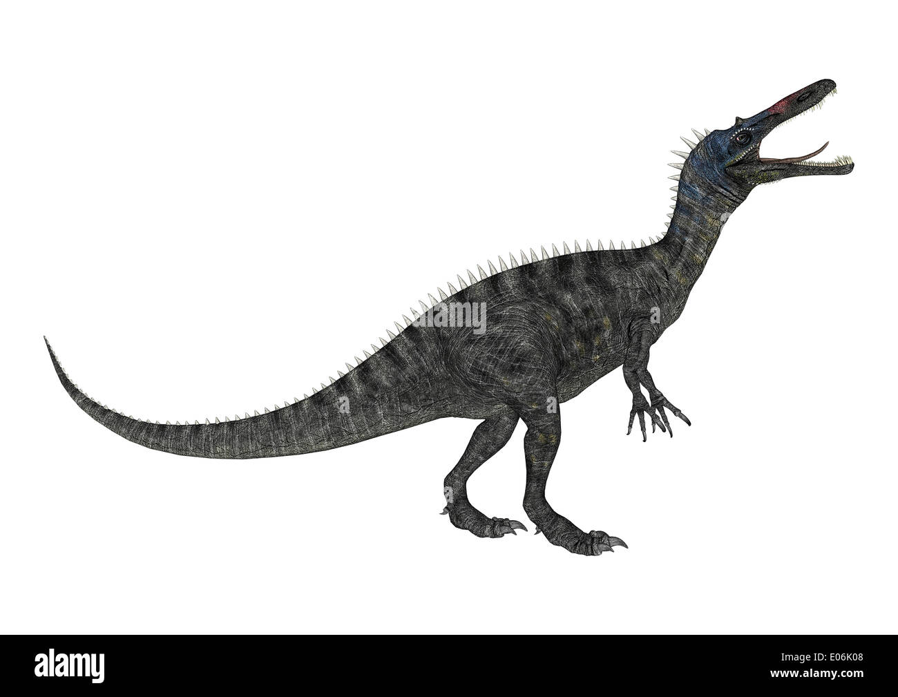 3D digital render of a dinosaur Suchomimus isolated on white background ...