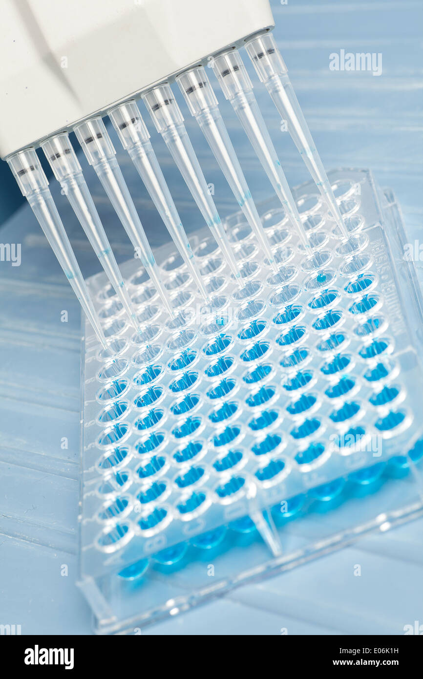 96 well plate multichannel pipette hi-res stock photography and images ...