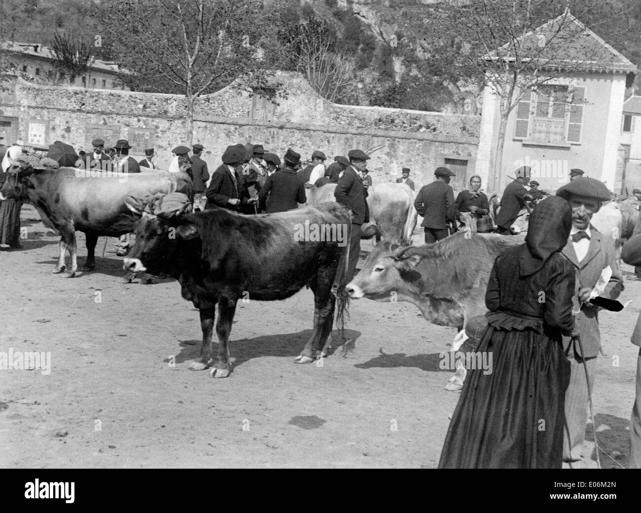 A photograph from Foix, Ariège, showing a fairground with cattle ...