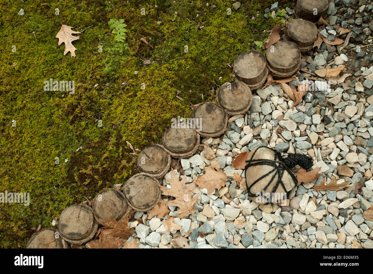 Looking down on a Japanese style moss garden with a log border,stone ...