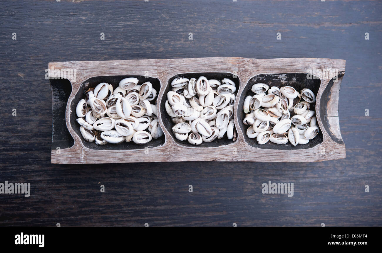 Cowrie shell money hi-res stock photography and images - Alamy