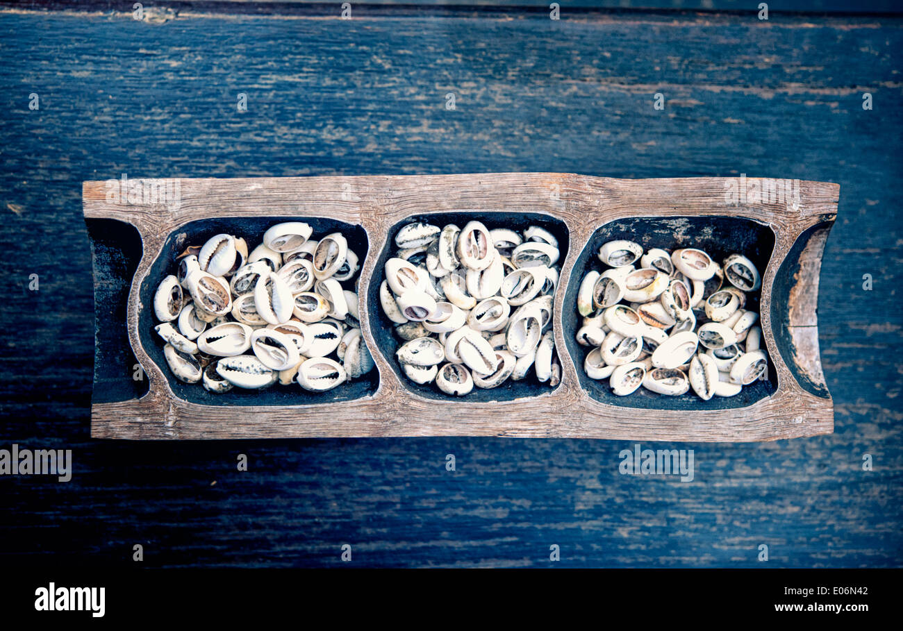 Money Cowry shells Stock Photo - Alamy