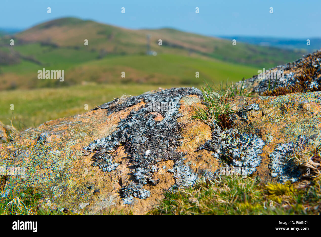 Lichen species on rock hi-res stock photography and images - Alamy