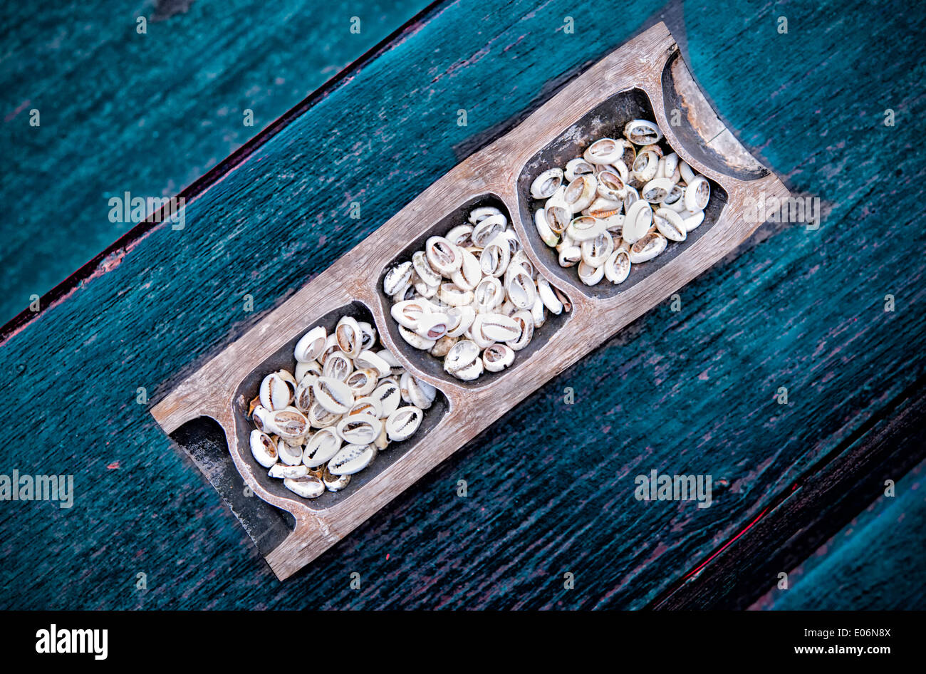 Money Cowry shells Stock Photo - Alamy