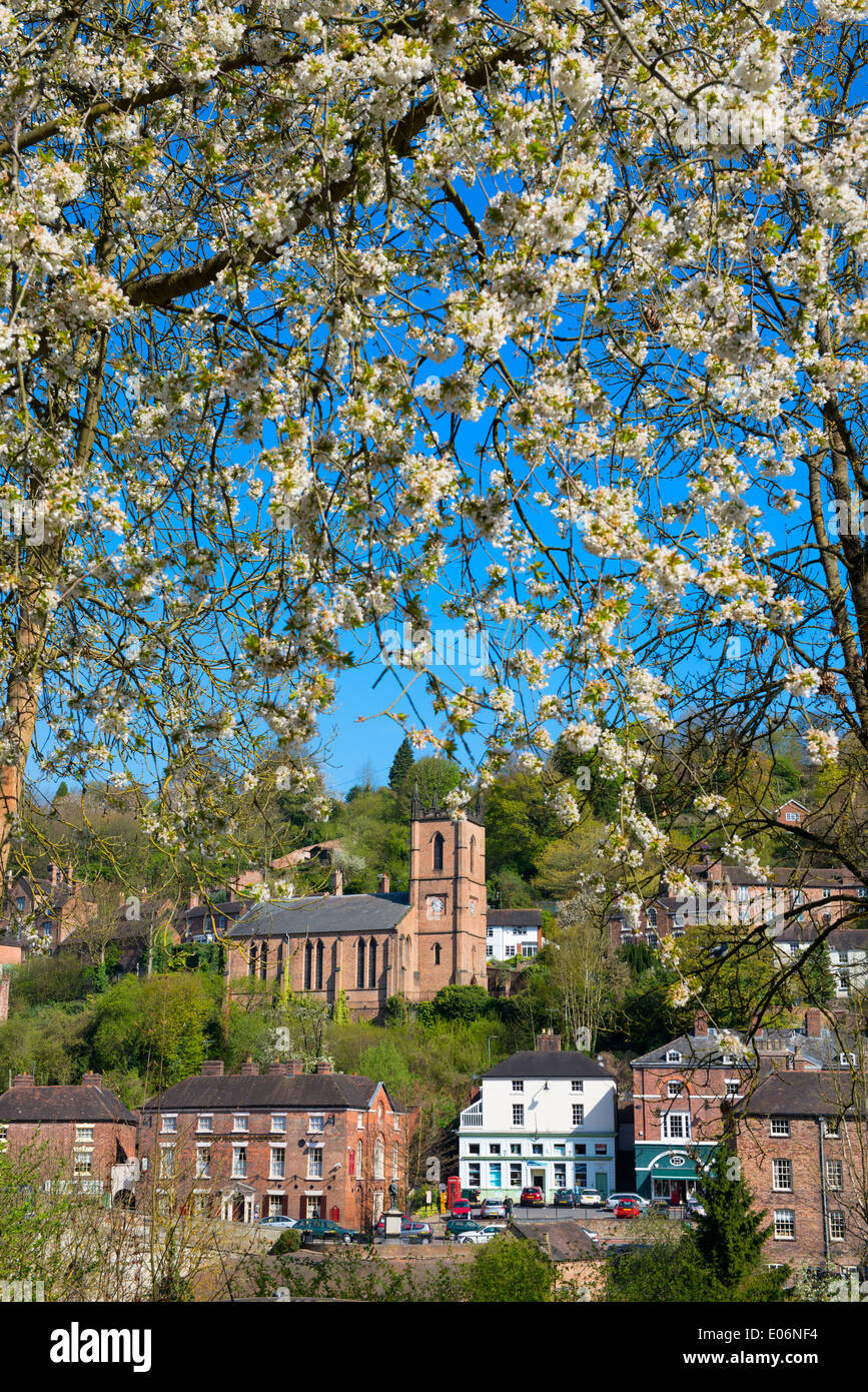 Spring cherry blossom in Ironbridge, Shropshire, England Stock Photo ...