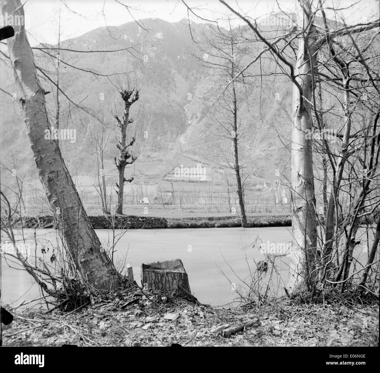 A photograph showing the Vallée du Saurat in Ariège, France, with birch ...
