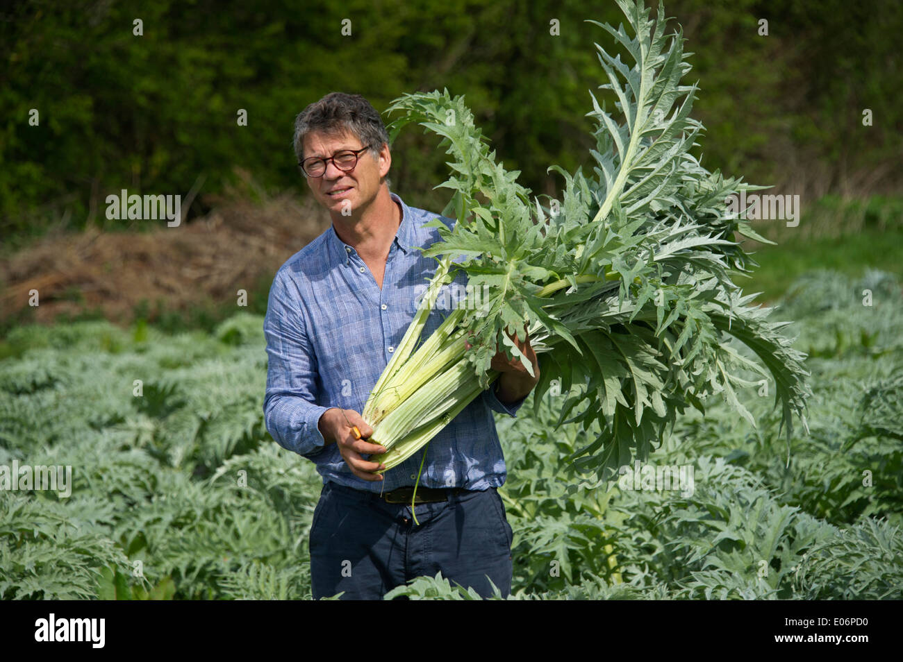 Riverford organic farms hi-res stock photography and images - Alamy