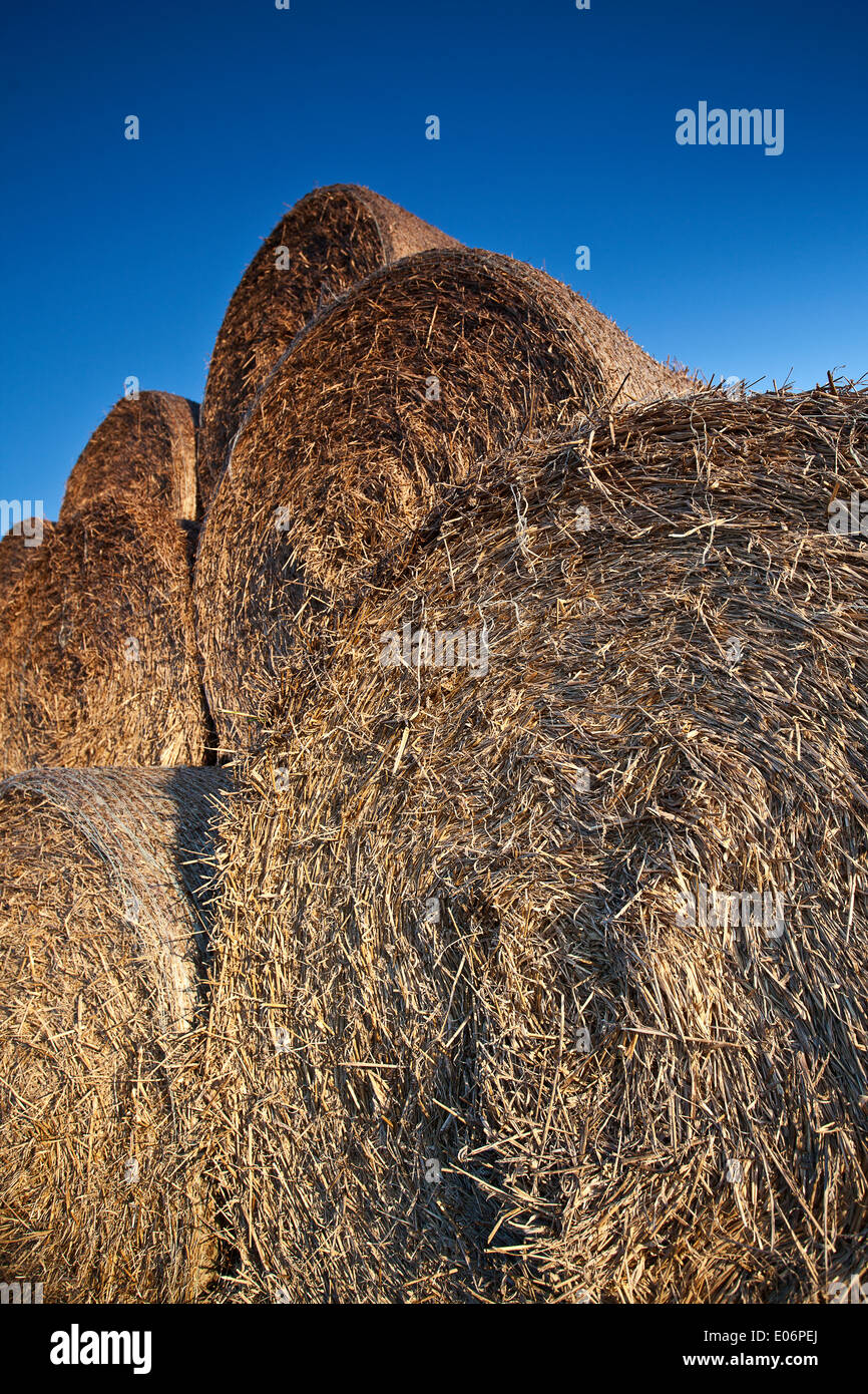 Bailed hay hi-res stock photography and images - Alamy