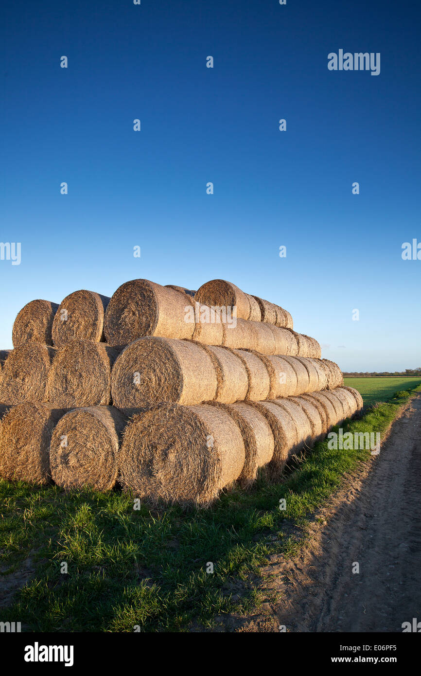 Bailed Hay High Resolution Stock Photography and Images - Alamy