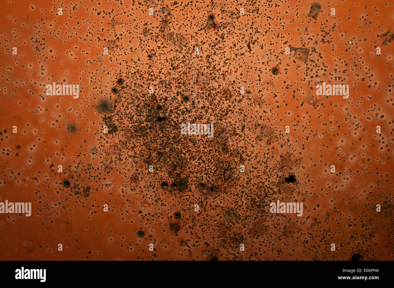 Full of holes hi-res stock photography and images - Alamy