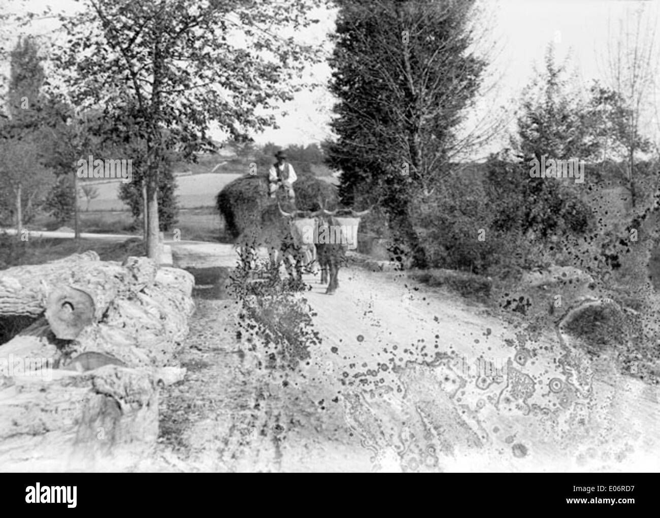 A photograph from October 13, 1902, showing a horse-drawn cart crossing ...
