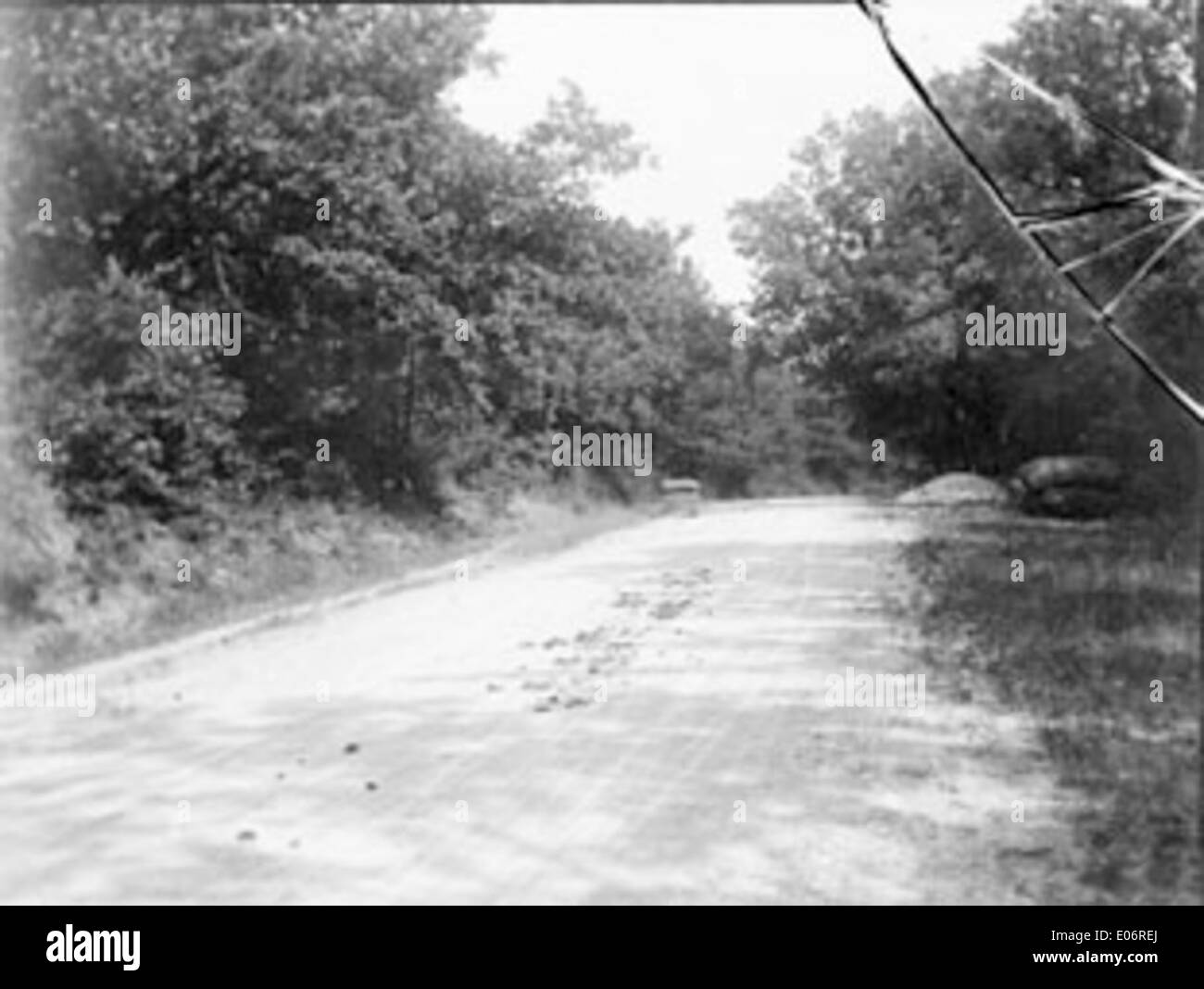 A photograph from October 1896 showing the road through the forest of ...