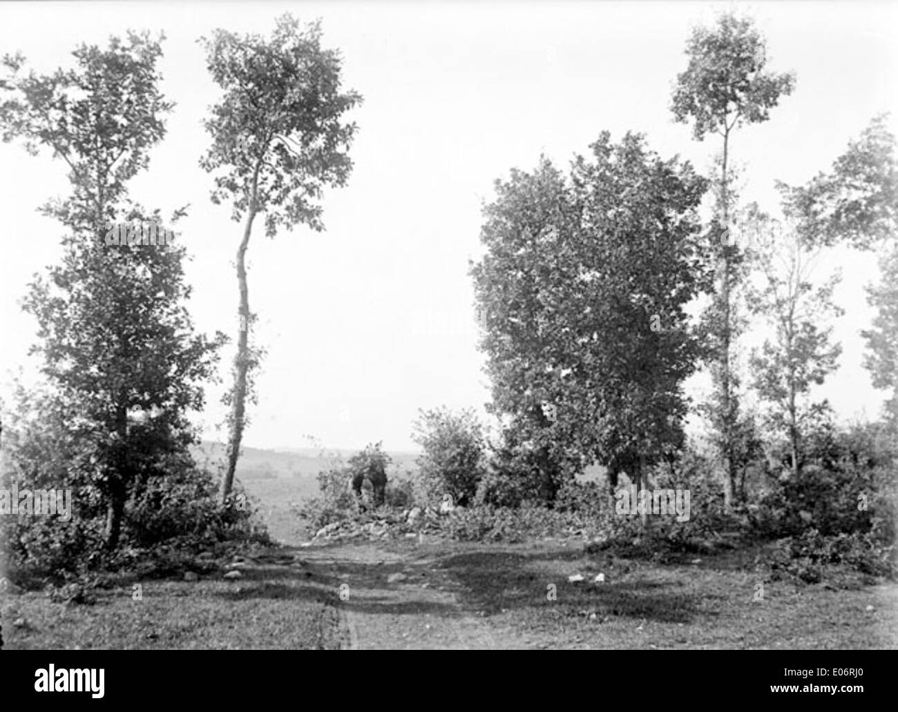 The photograph shows the Bas Gayral area on the path to Camp de Labat ...