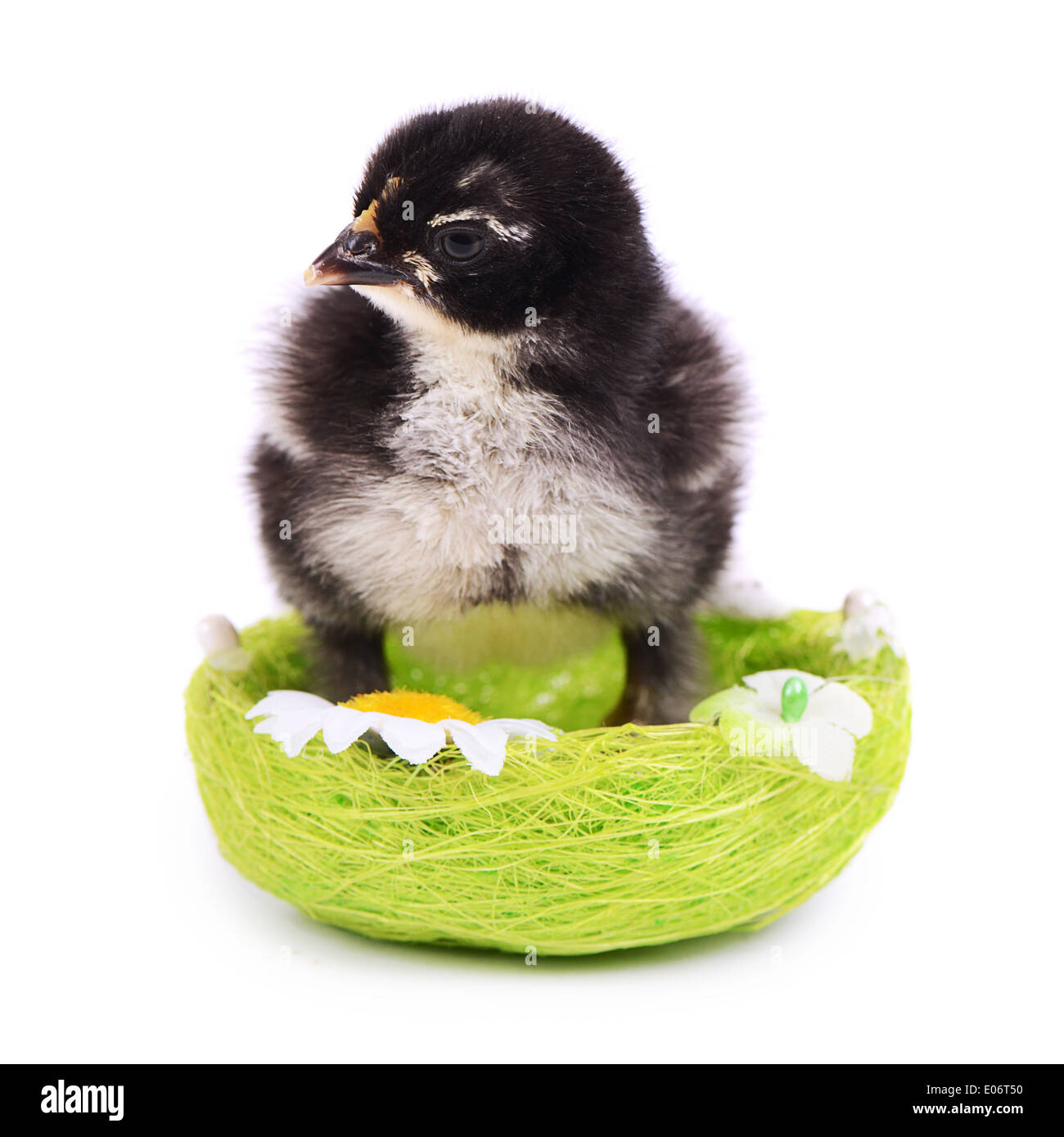 Little house for chickens hi-res stock photography and images - Alamy