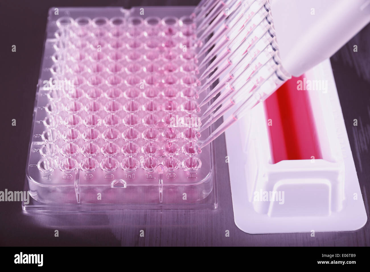 96 well plate multichannel pipette hi-res stock photography and images ...