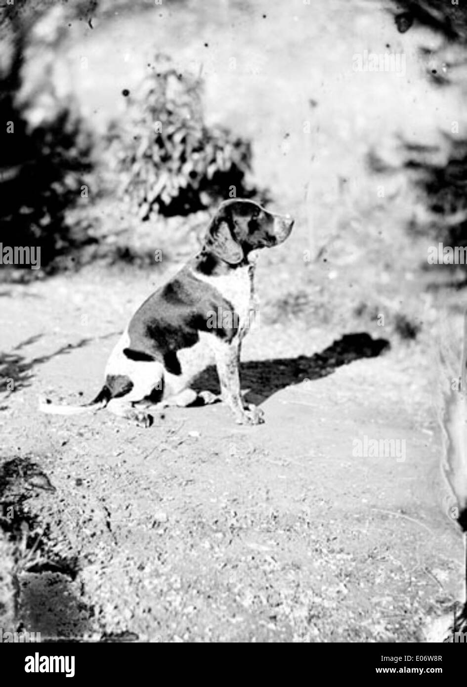 Milord hi-res stock photography and images - Alamy