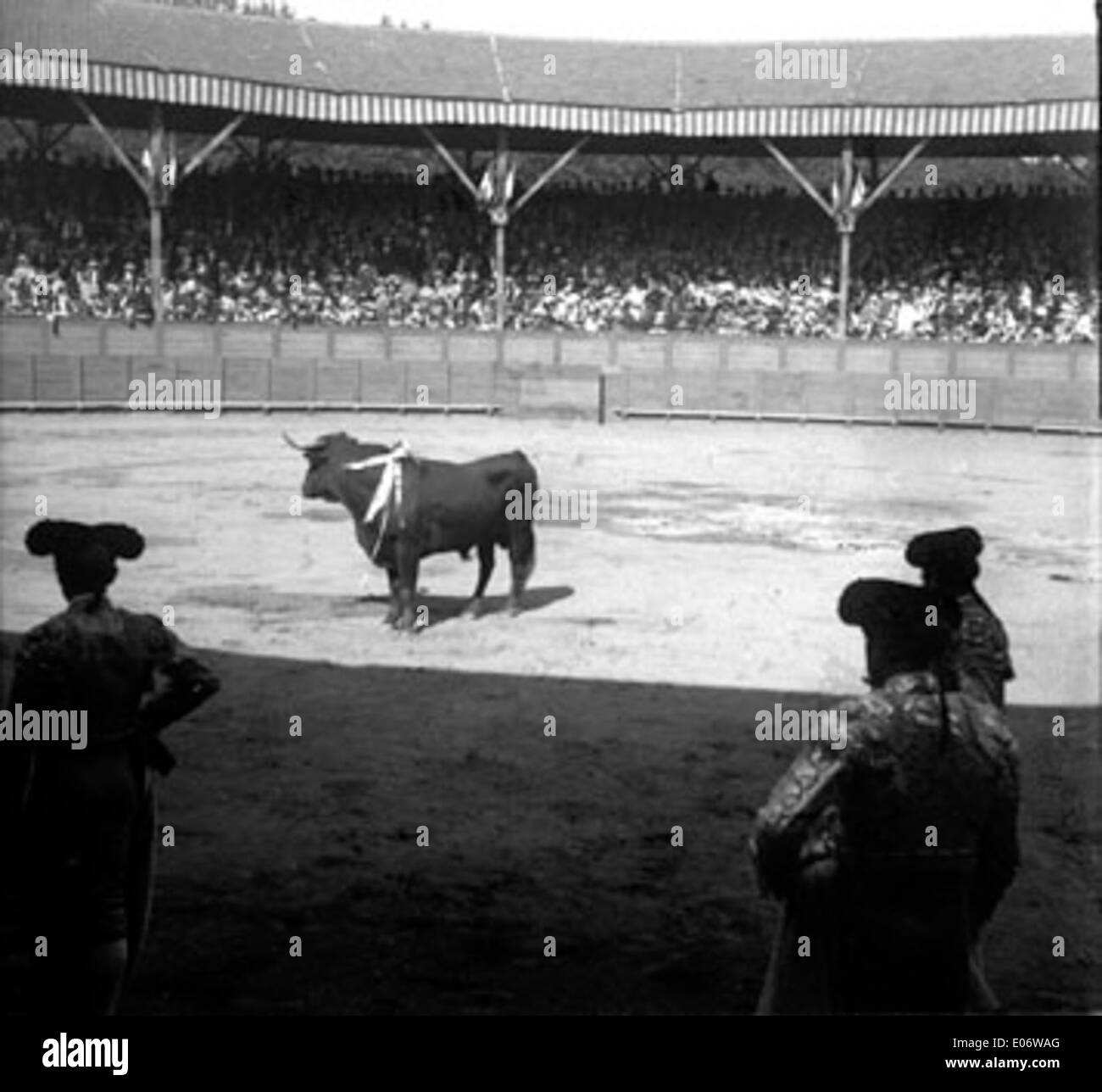 Bull fight crowd spain hi-res stock photography and images - Alamy