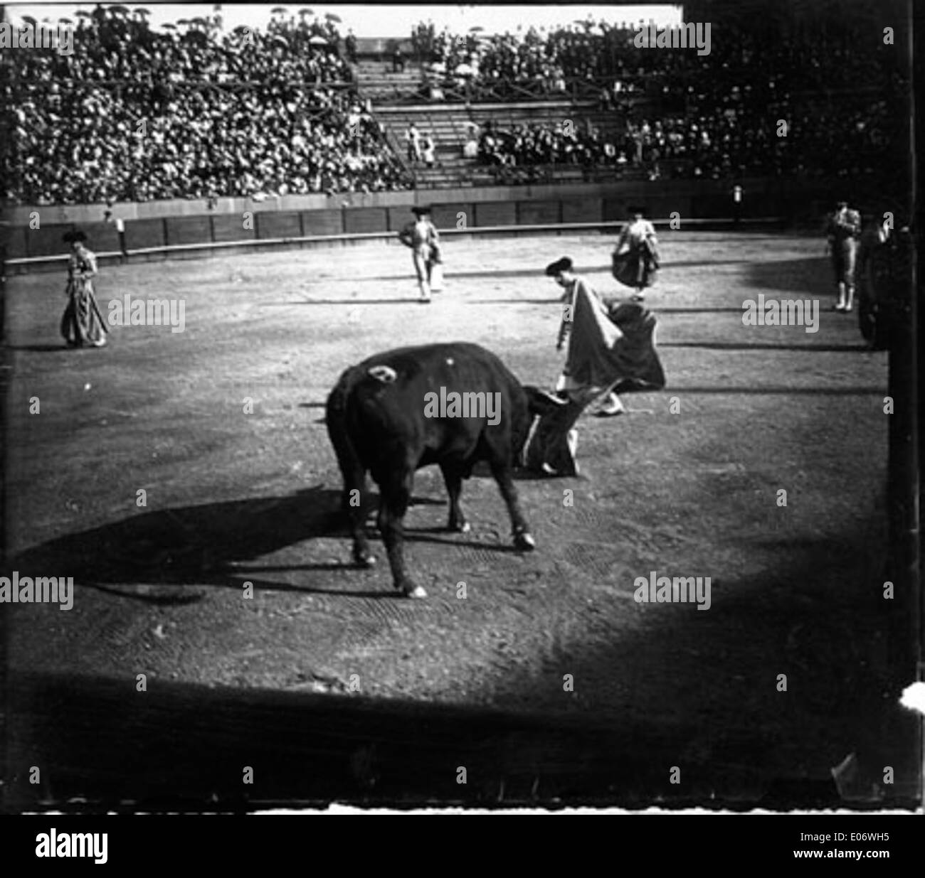 A photograph of a bullfight arena showing a torero (bullfighter) with a ...