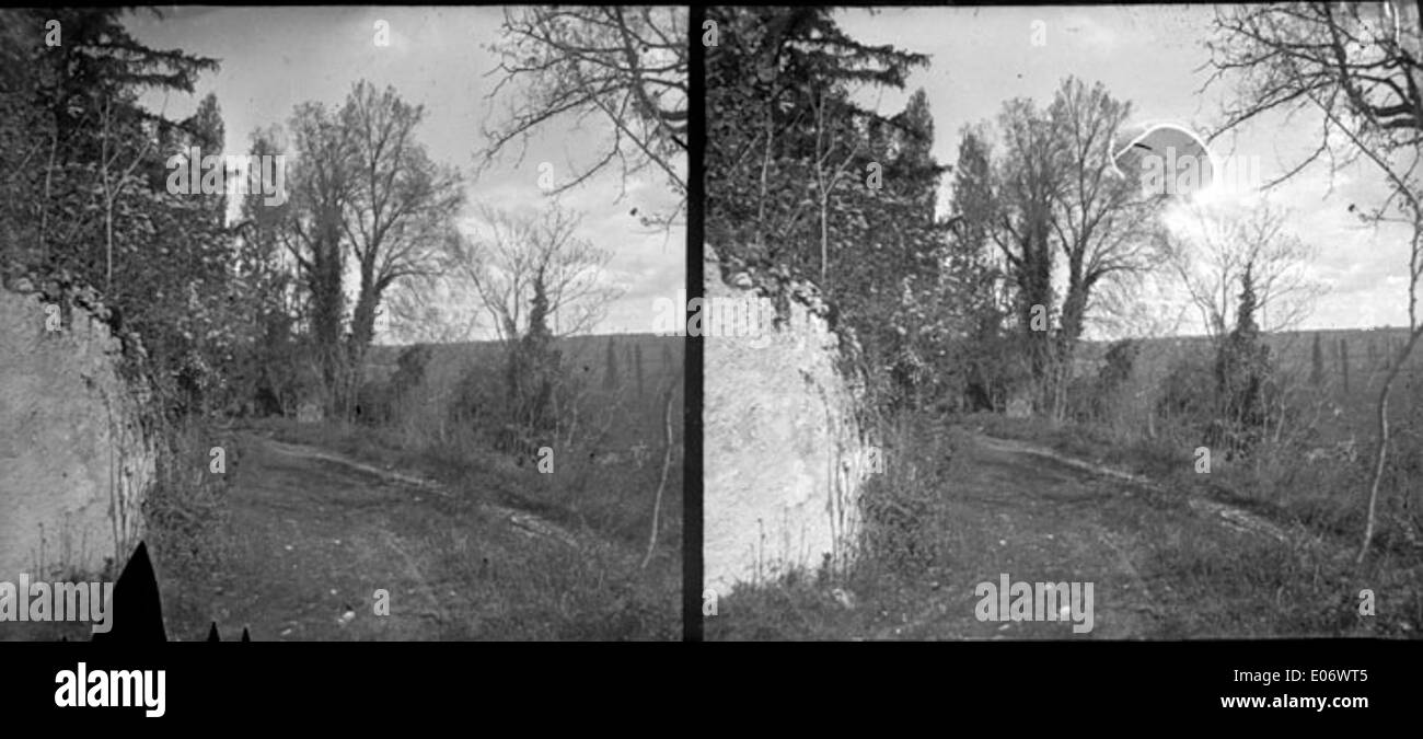 Golden light of Black and White Stock Photos & Images - Alamy