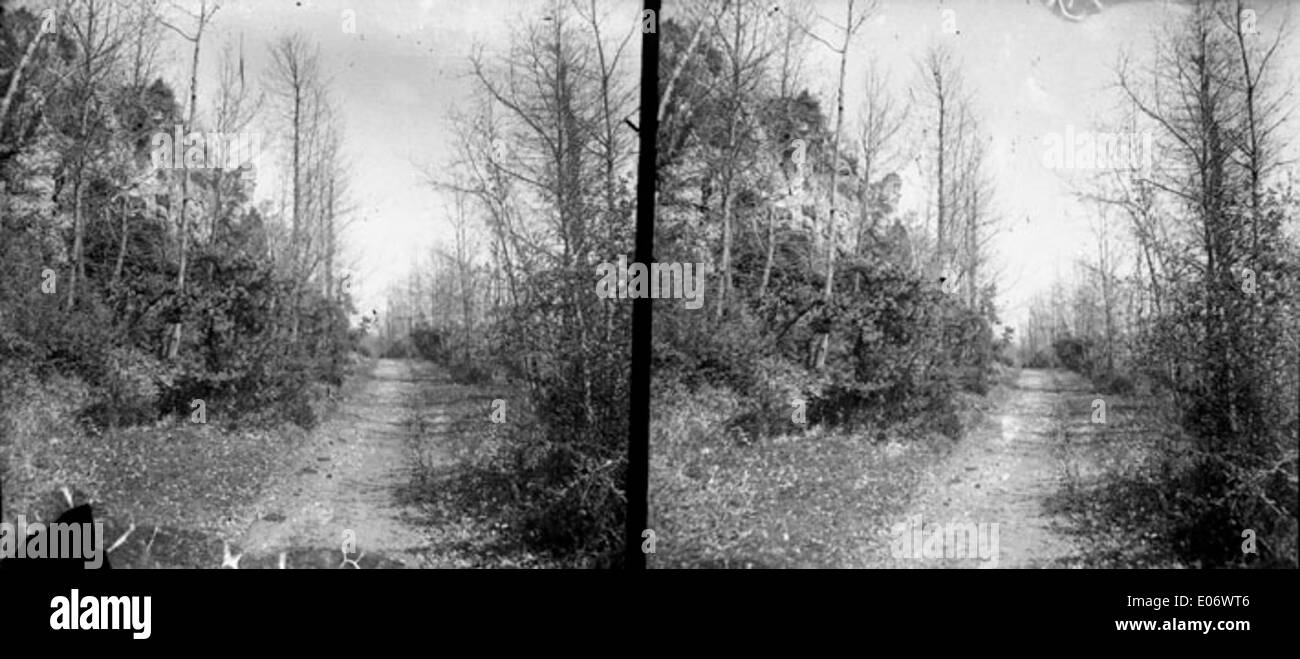 Chemin forestier hi-res stock photography and images - Alamy