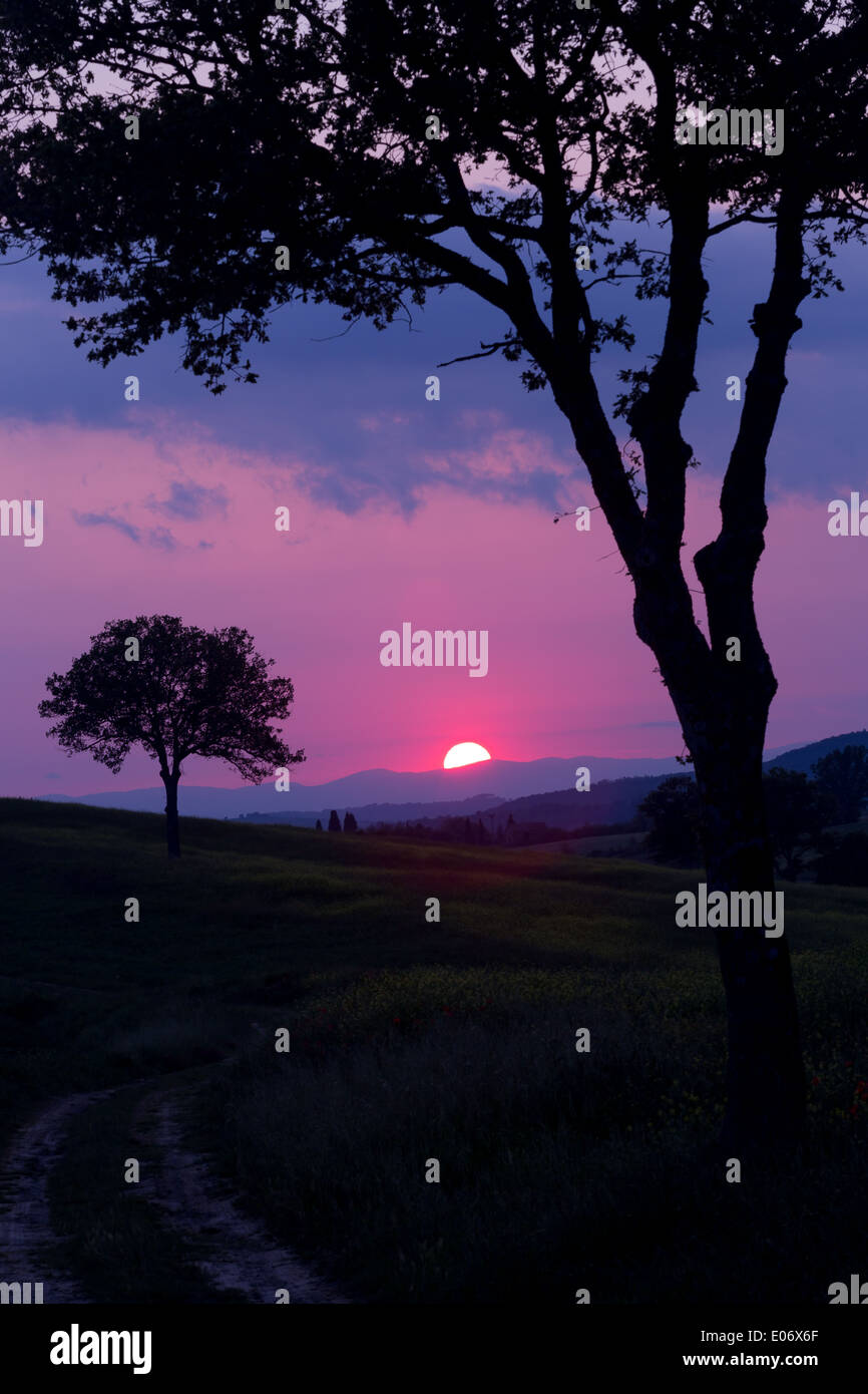 Tuscany trees silhouette hi-res stock photography and images - Alamy