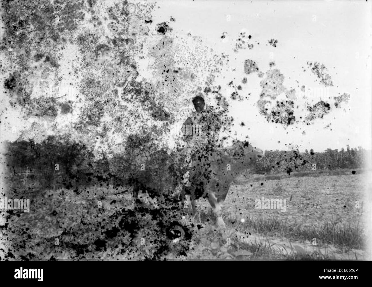 Chevauchant High Resolution Stock Photography and Images - Alamy