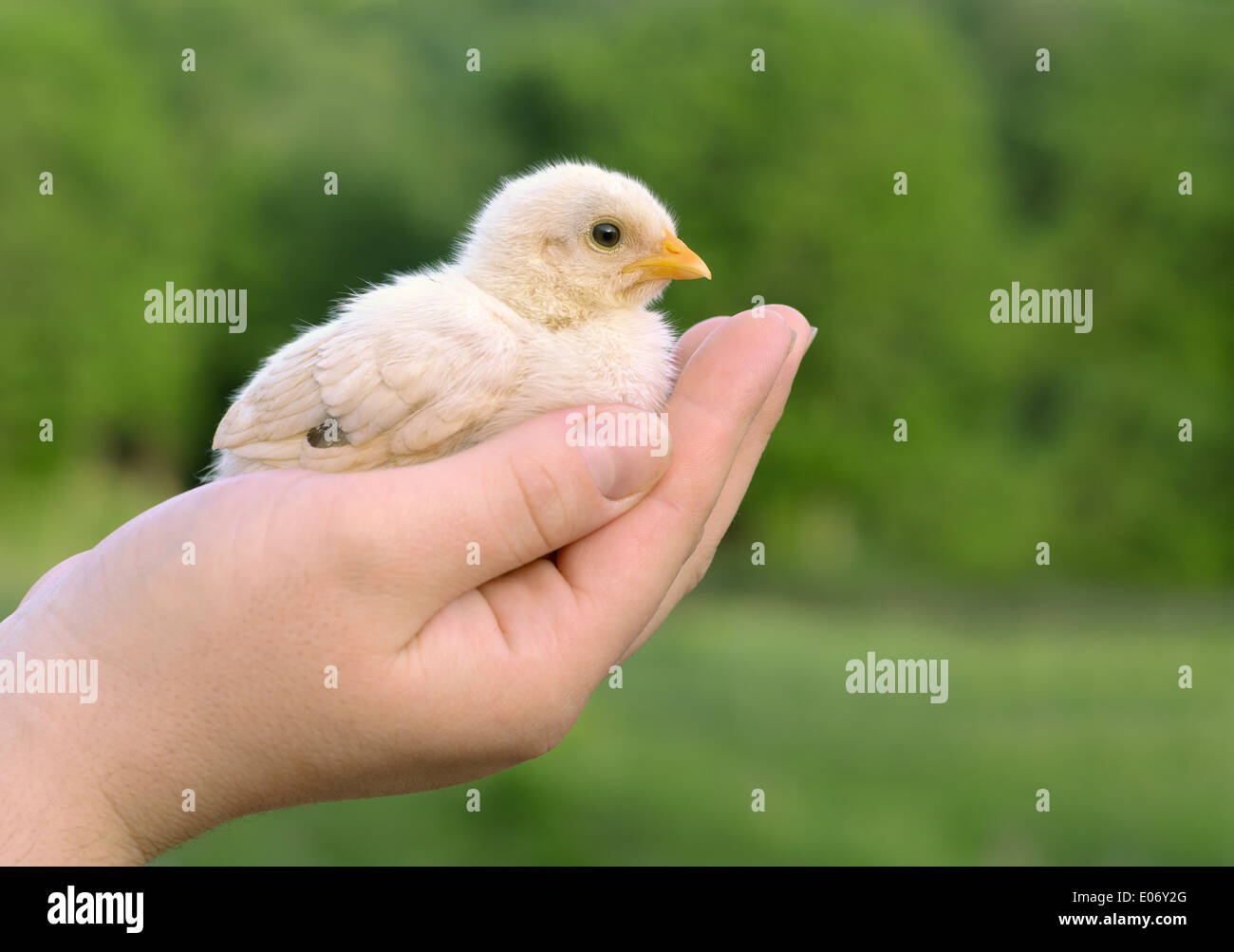 Human palm hi-res stock photography and images - Alamy