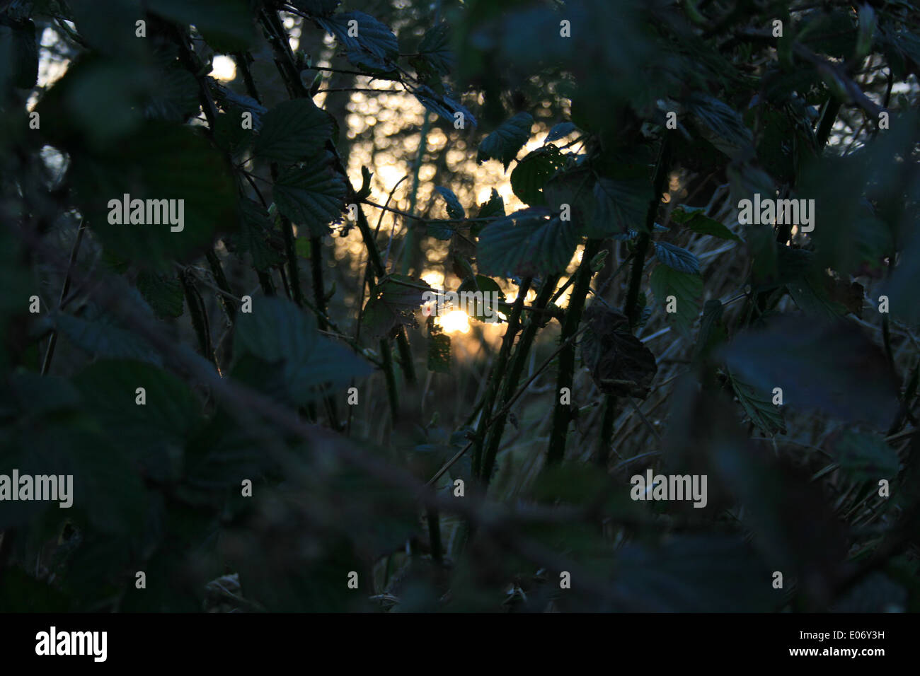 Scotland spring light hi-res stock photography and images - Alamy