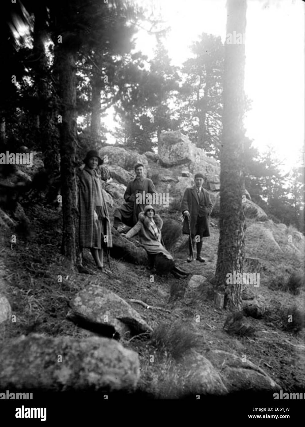 A portrait of a group of people in a forest. The photograph captures ...